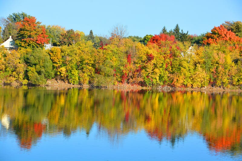 Fall landscape, stock photo. Image of golden, canada - 78479120