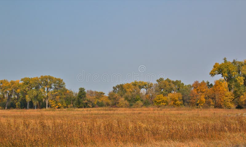 Fall Landscape Colors stock photo. Image of farm, natural - 218866814