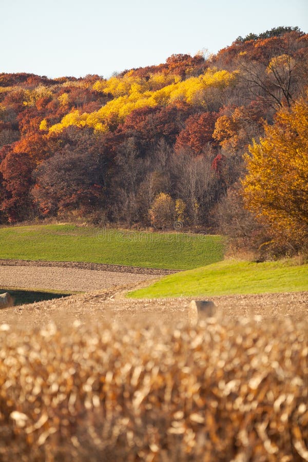Fall Landscape stock photo. Image of light, fall, foliage - 46150520
