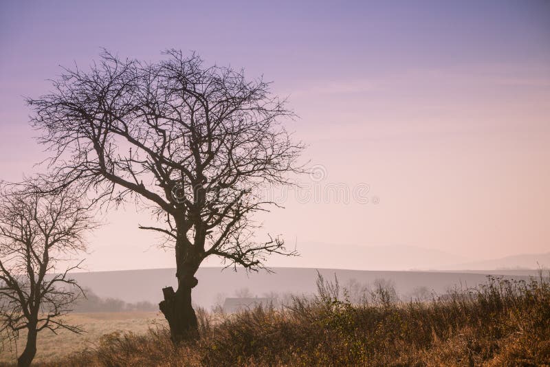 Country Field Landscape on Autumn Day Stock Photo - Image of nature ...