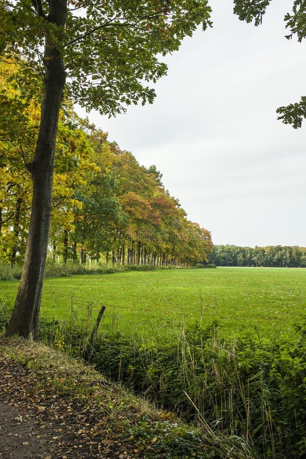 Dutch Landscape with Canal and Village Stock Image - Image of field ...