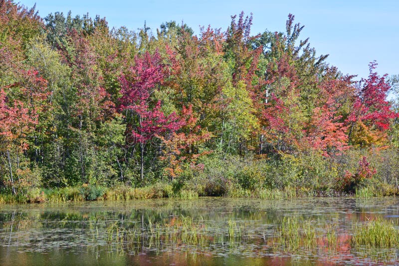 Fall Landscape Eastern Townships Bromont Stock Photo - Image of foliage ...