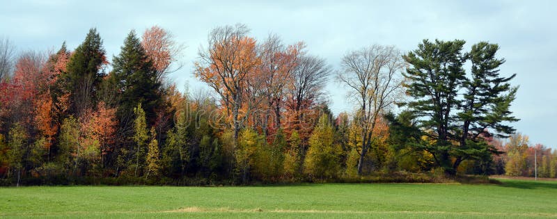 Fall Landscape Eastern Townships Stock Photo - Image of bright, autumn ...