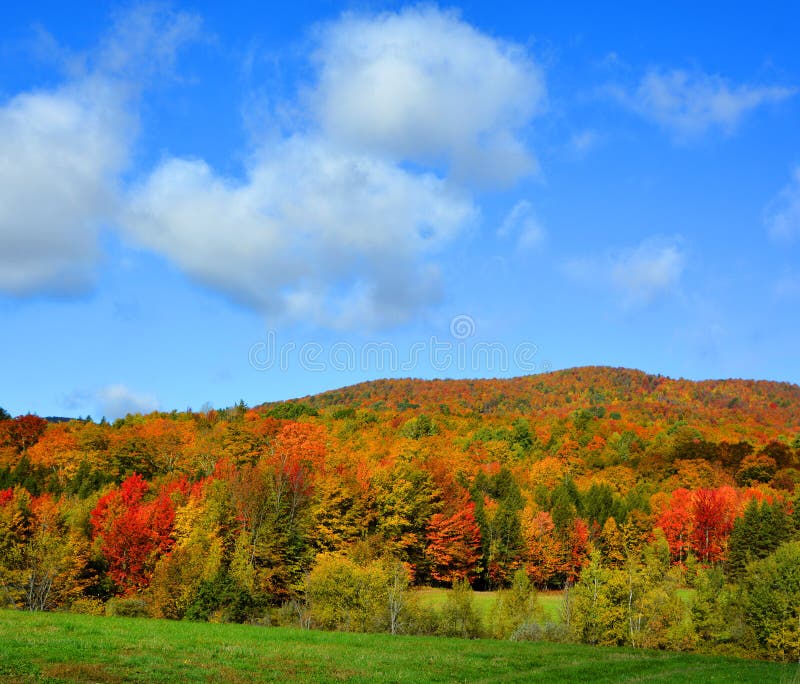 Fall landscape stock photo. Image of october, deciduous - 162622432