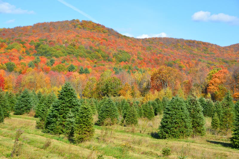 Fall landscape stock image. Image of autumn, grass, deciduous - 162622499