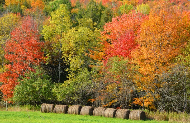 Fall Landscape Eastern Townships Stock Photo - Image of leaves, autumn ...
