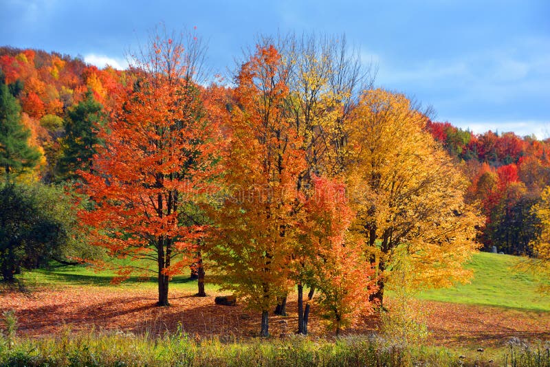 Fall Landscape Eastern Townships Stock Photo - Image of deciduous, farm ...