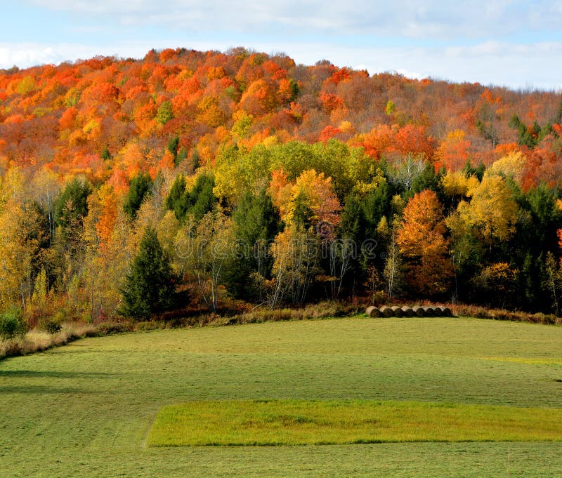 Fall Landscape Eastern Townships Stock Photo - Image of bright, farm ...