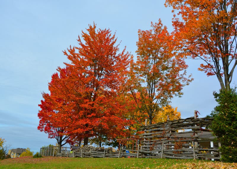 Fall Landscape Eastern Townships Stock Photo - Image of black, foliage ...