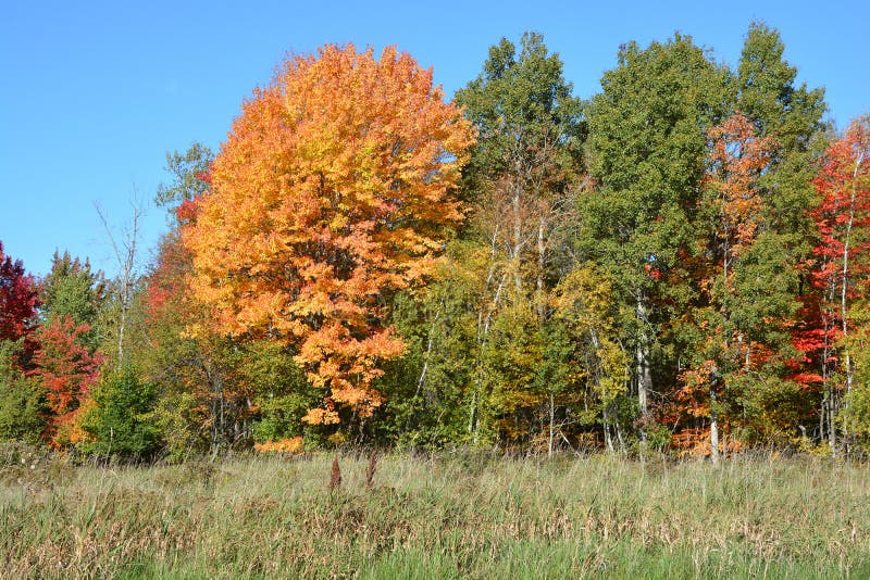 Fall Landscape Eastern Townships Quebec Stock Photo - Image of outdoors ...