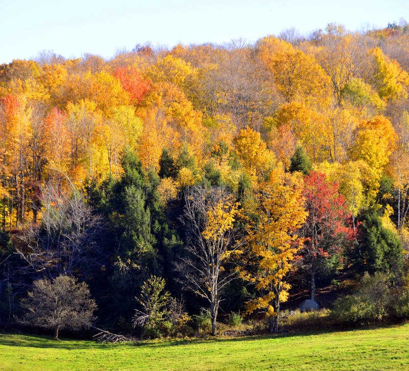 Fall landscape stock image. Image of canada, grain, harvest - 123939667