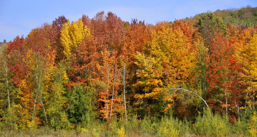 Fall landscape stock image. Image of laurentides, rural - 123947731