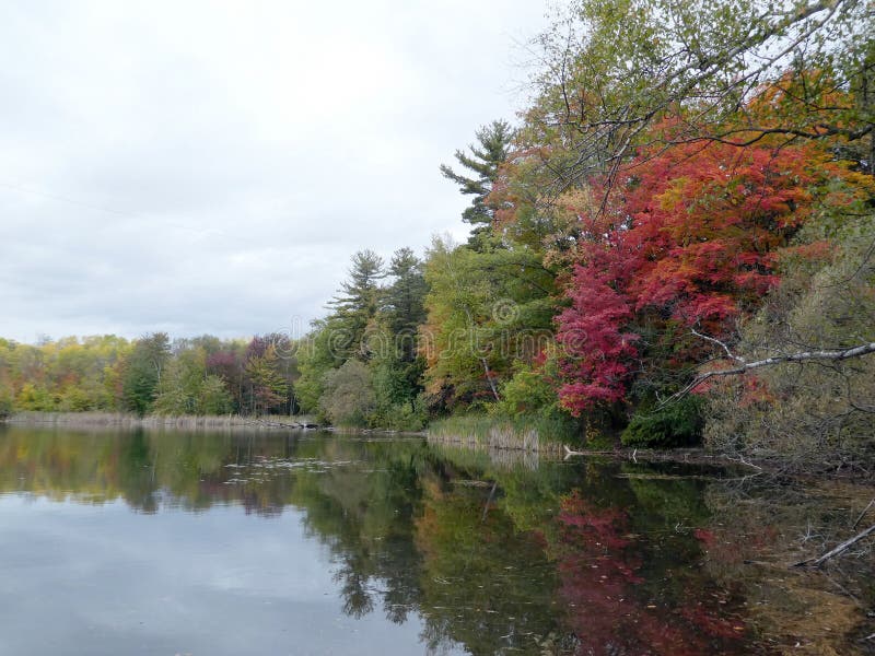 Fall Landscape stock photo. Image of fall, tree, leaves - 198085816