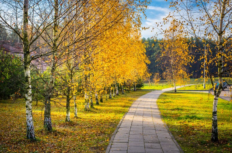 Fall Landscape, Golden Trees Stock Image - Image of autumn, sunlight ...