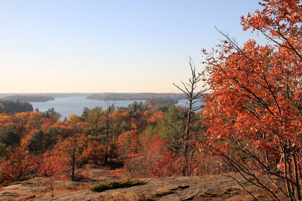 Fall Landscape stock image. Image of fall, skyline, trees - 259749437