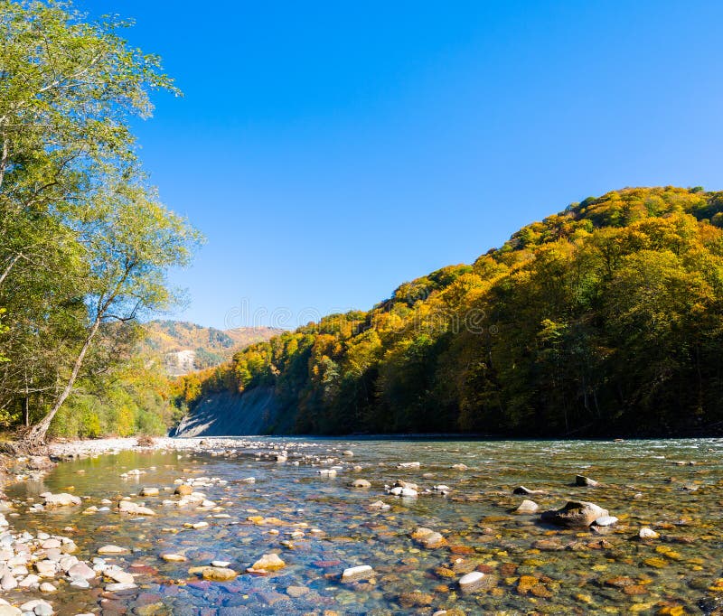 Fall Landscape with Mountain River and Forest Stock Image - Image of ...