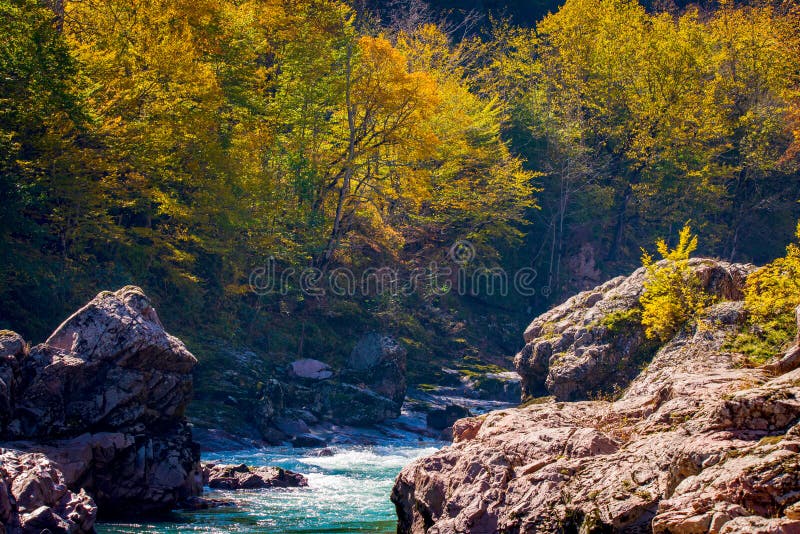 Fall Landscape with Mountain River and Forest Stock Photo - Image of ...