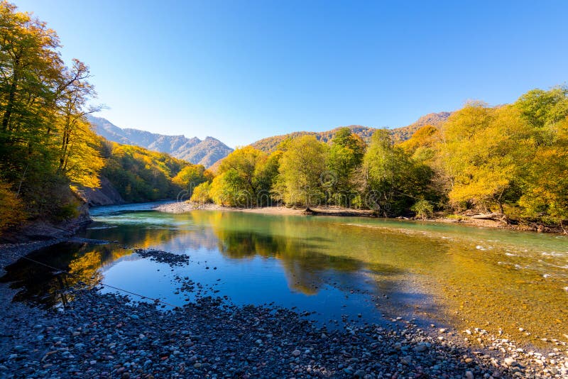 Fall Landscape with Mountain River and Forest Stock Photo - Image of ...