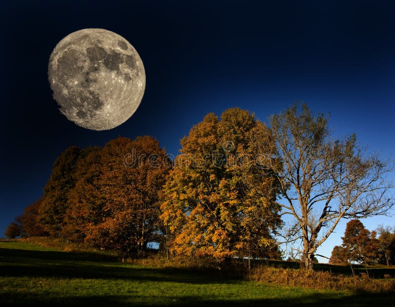 Fall Landscape in the Night and the Moon Stock Photo - Image of pasture ...