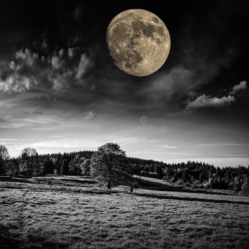 Fall Landscape in the Night and the Moon Stock Photo - Image of nature ...