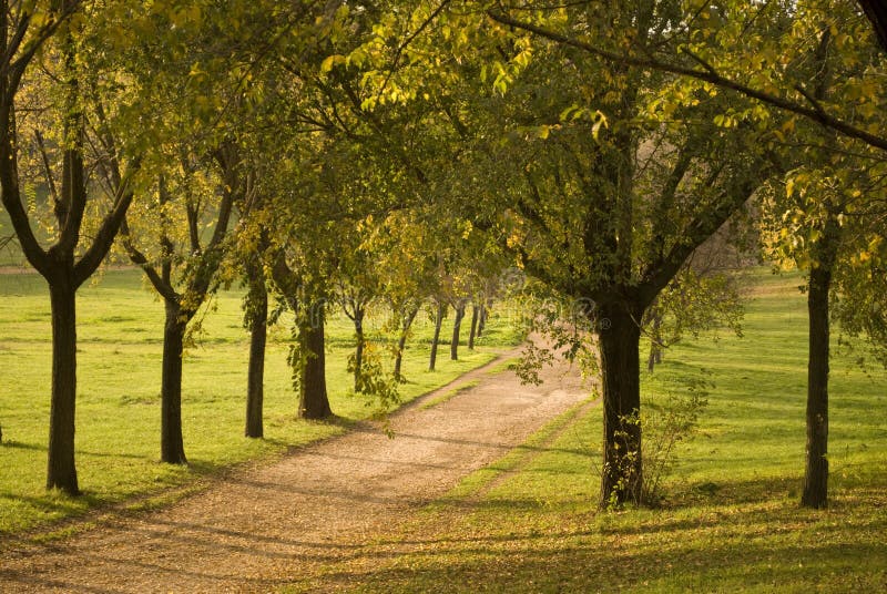 Fall Landscape In A Park, Rome, Italy Picture. Image: 11817145