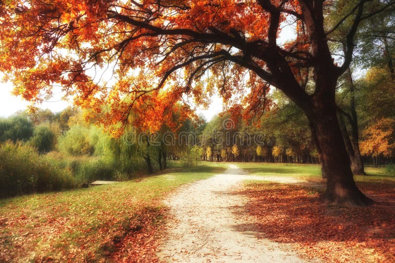 Fall Landscape. Path Leading through the Autumn Park Under a Large Oak ...