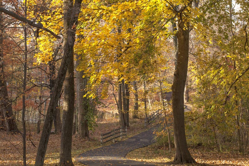 Fall landscape with a path stock photo. Image of trees - 80534012