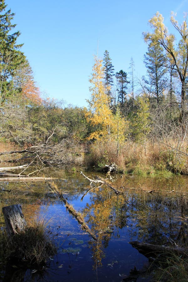 Fall Landscape stock image. Image of leaves, color, reflection - 82738251