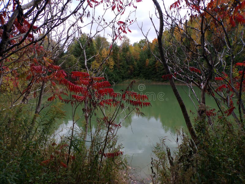 Fall Landscape with Pond stock photo. Image of forest - 259275412