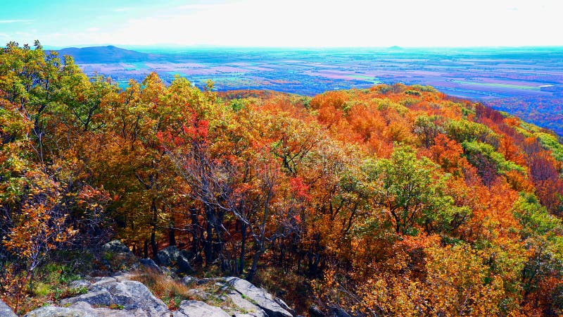 Fall landscape in Quebec stock photo. Image of distance - 133445830