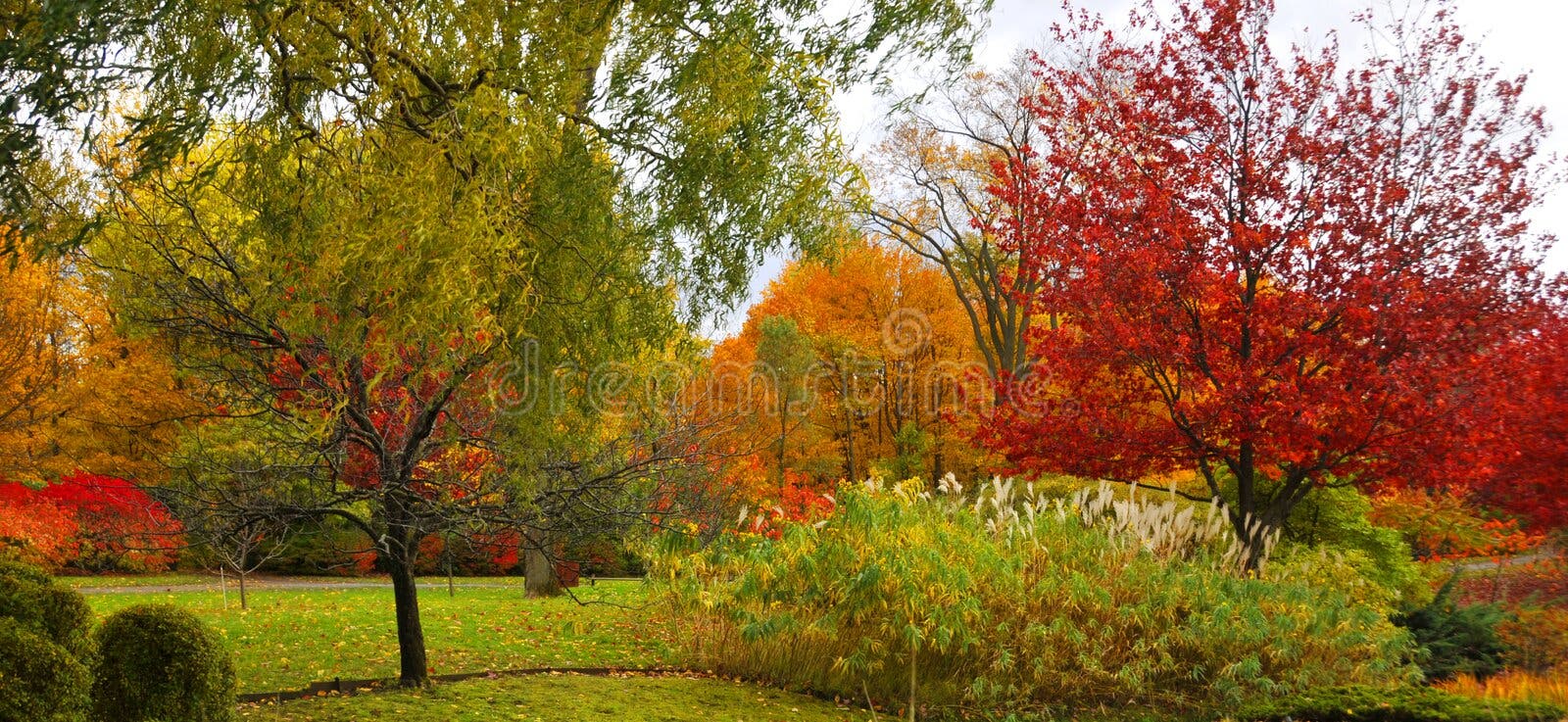 Fall Landscape stock photo. Image of relaxing, park - 101481934