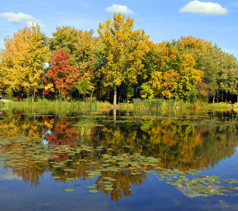 Fall landscape stock photo. Image of forest, north, panorama - 123950872