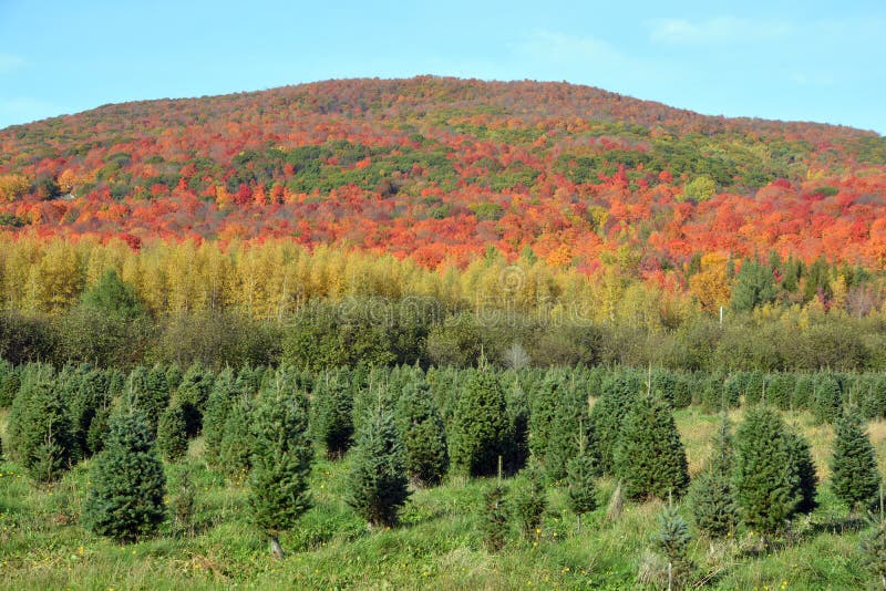 Fall Landscape Quebec Province Stock Photo - Image of environment ...