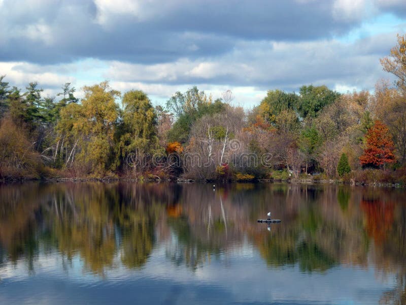 Refraction of Landscape stock image. Image of autumn - 107593241