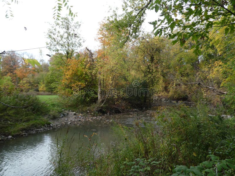 Fall landscape stock photo. Image of plant, nature, leaves - 235898194