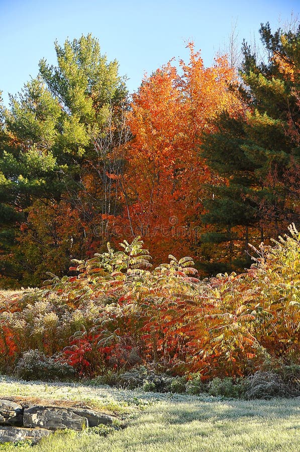 Fall landscape with snow stock photo. Image of color - 80856988