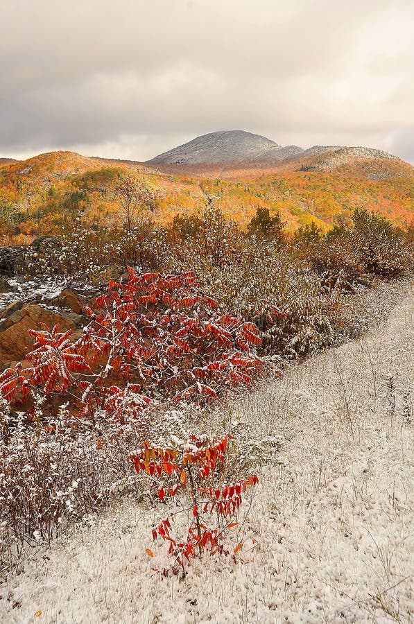 Fall landscape with snow stock photo. Image of colors - 80857164
