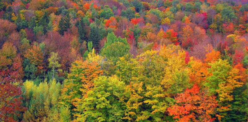 Fall Landscape Sutton Quebec Stock Image - Image of grass, landscape ...