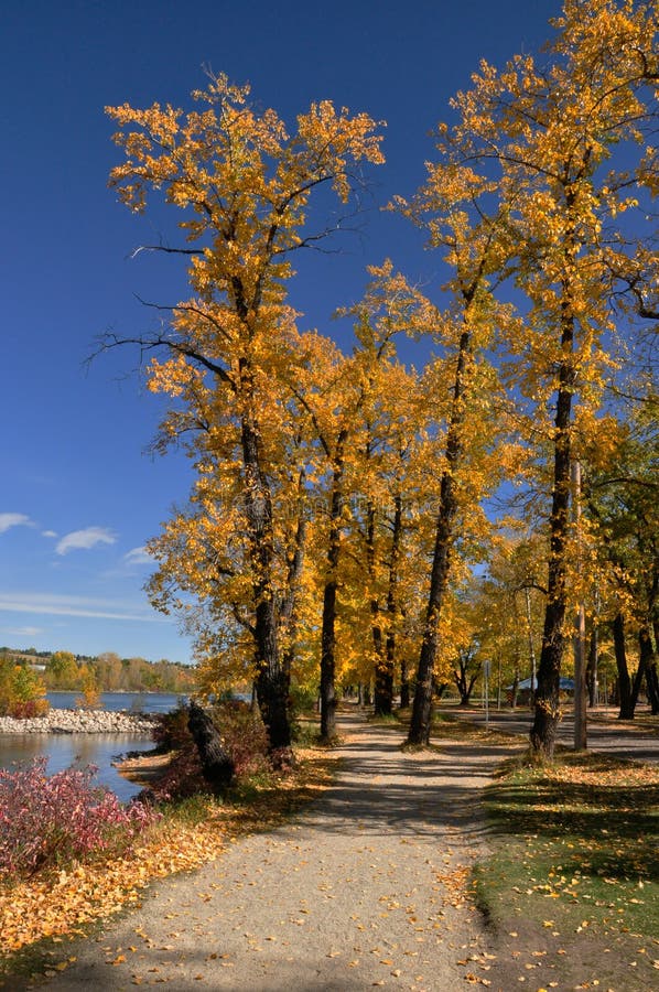 Fall Colors by the River stock image. Image of fall - 106700671