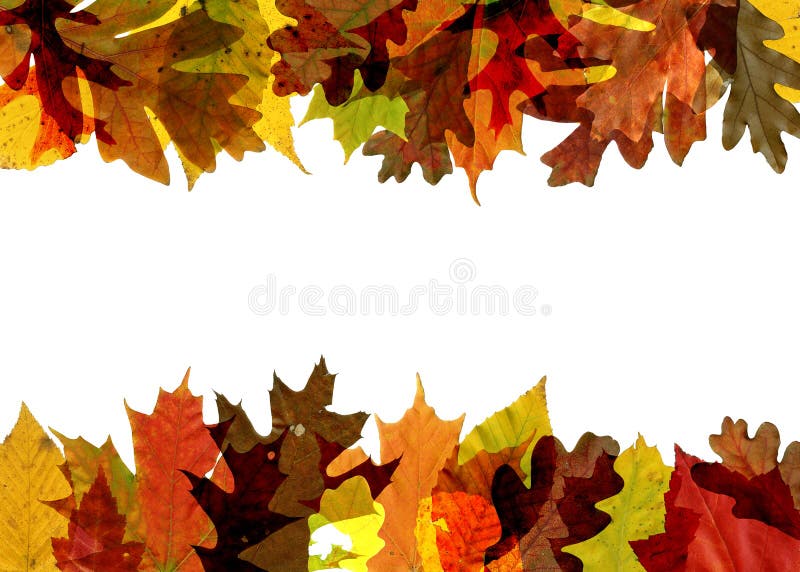 Fall leaf border stock illustration. Illustration of orange - 17589386