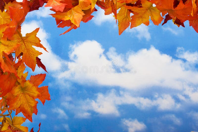 Fall leaf border stock photo. Image of border, blue, white - 6842750