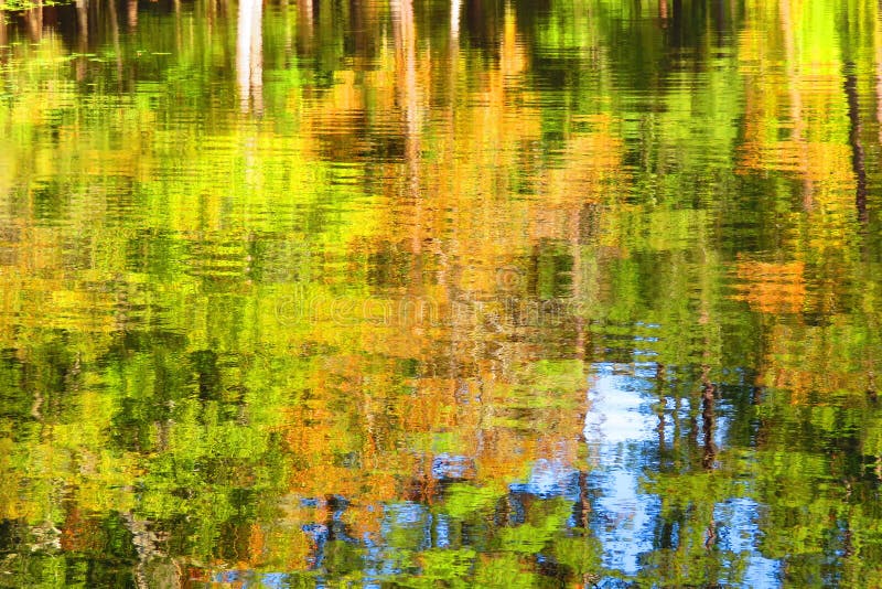 Fall Leaf Colors Reflected in Pond Water Stock Image - Image of ...