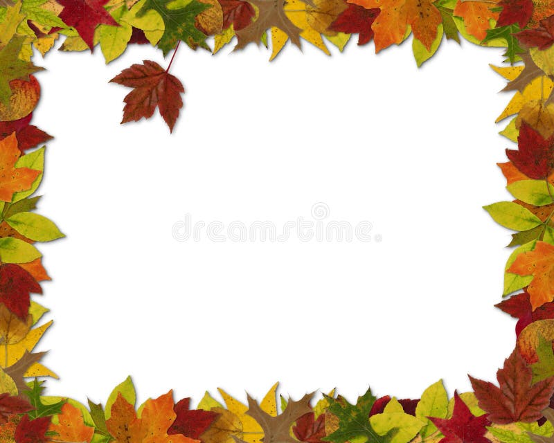 Fall Leaf Frame stock image. Image of autumn, brown, seasonal - 80286345
