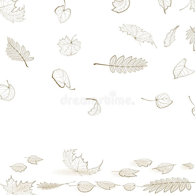 Fall Leaf Skeletons Autumn Design Template. Stock Vector - Illustration ...