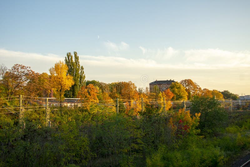 Fall Leaf Tree Landscape and in Schoneberg Berlin Germany Stock Image ...