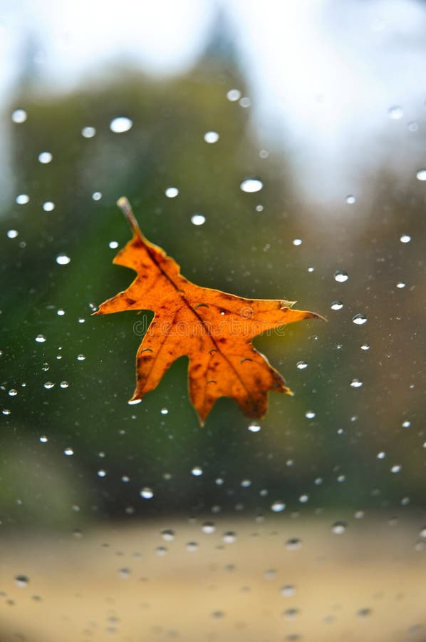 Autumn Color by the Window stock image. Image of orange - 5500955