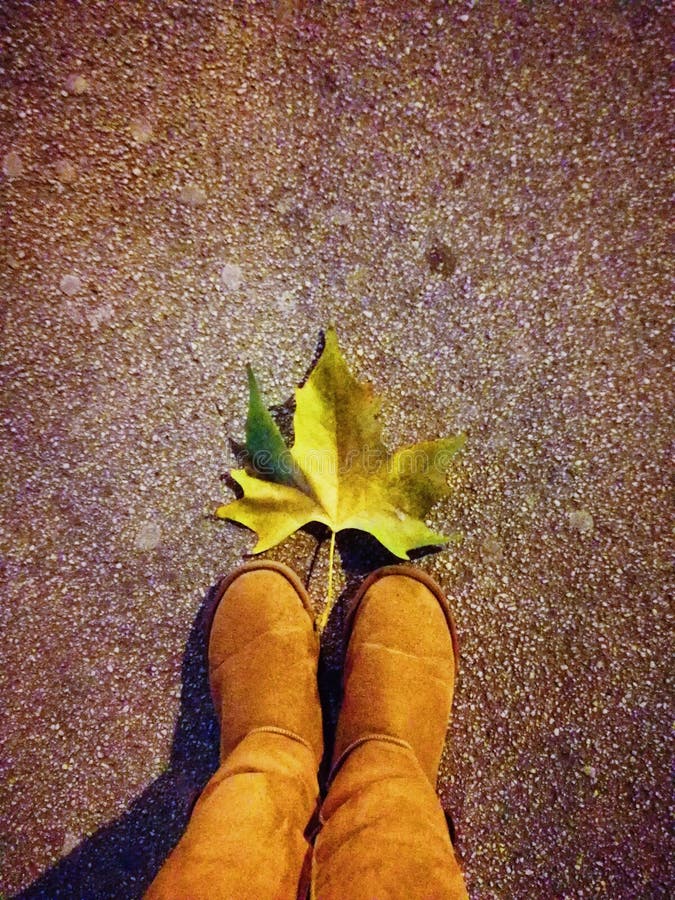Fall Leaf Winter Boots Street View Stock Photo - Image of boots, leaf ...