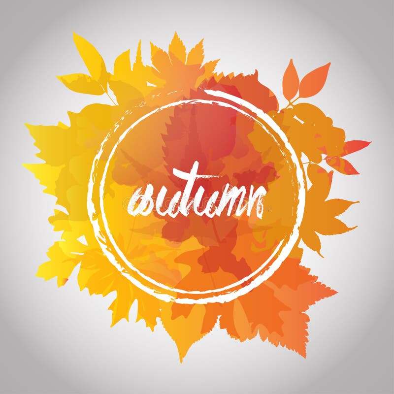 Fall Leafes Autumn Background Warm Color Stock Illustrations – 5 Fall ...