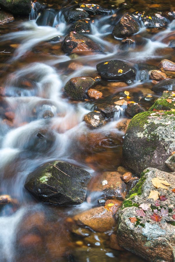 Leaf covered stream stock photo. Image of scenic, parks - 118711420