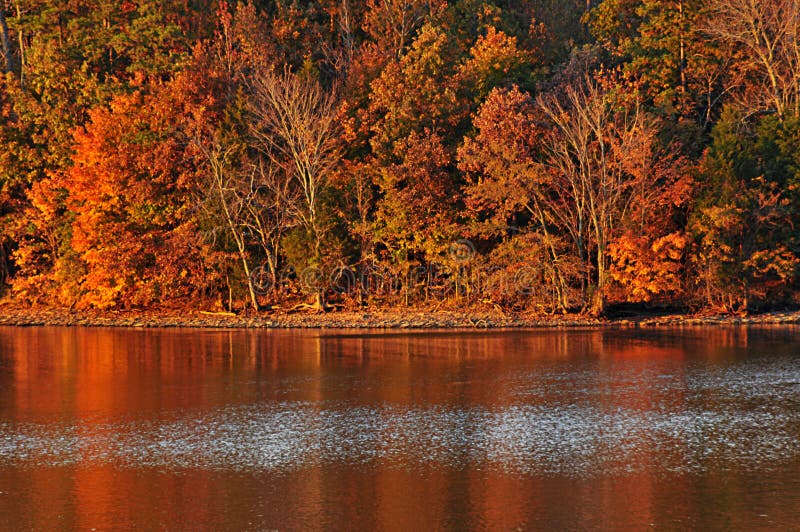 View from a Cabin Southern Missouri Fall Stock Image - Image of ...